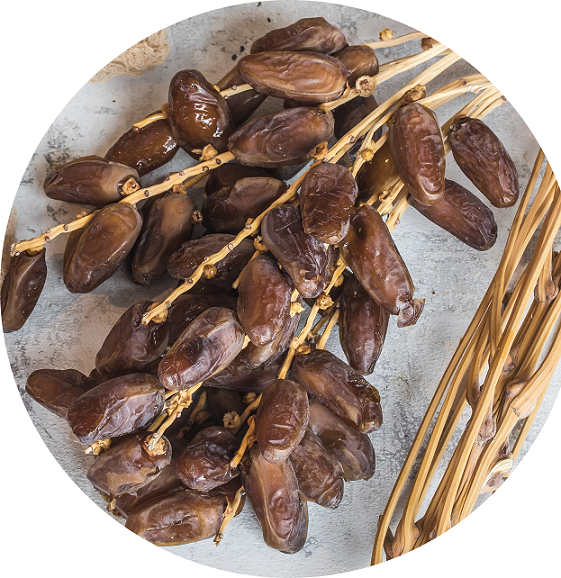 Datulės | The most delicious top quality Dates from Saudi Arabia
